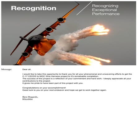 Pride@Boeing - Exceptional Performance Award | PDF