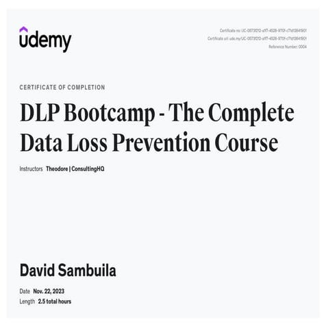 CERTIFICATE DLP.pdf