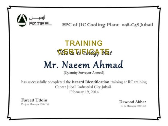 Experience letter of PPL | PDF