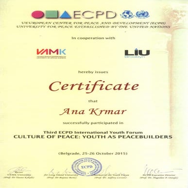 Certificate iii youth forum | PDF
