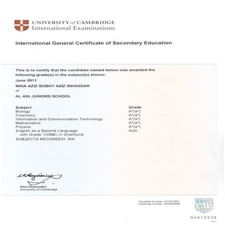 Certificate A Level