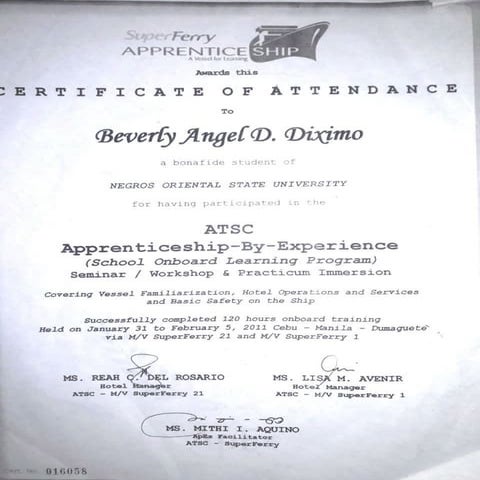 Apprenticeship-By-Experience Certificate | PDF