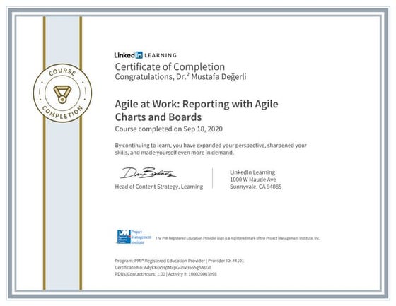 Certificate Of Completion Leading Projects Ppt