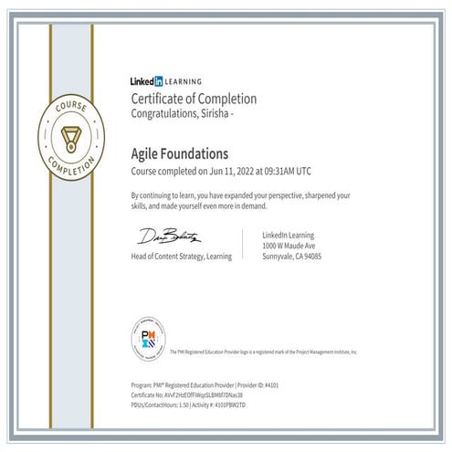 Agile Foundations | PDF