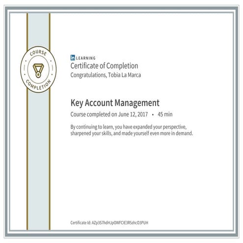 Key Account Management | PDF