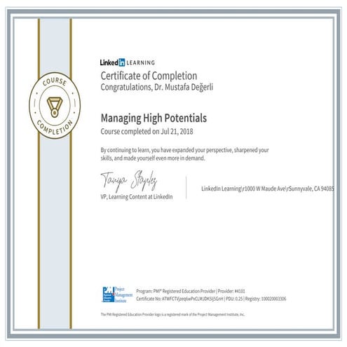 Dr. Mustafa Değerli – 2018 – Managing High Potentials | PDF