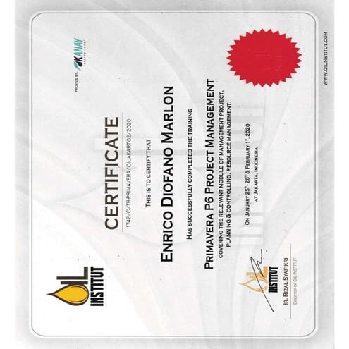 Primavera P6 Project Management | PDF