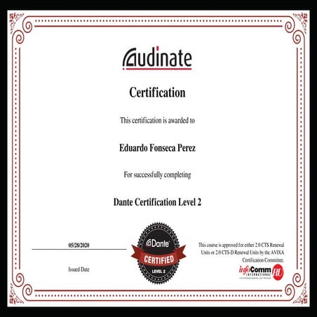 Dante certification level 2 | PDF