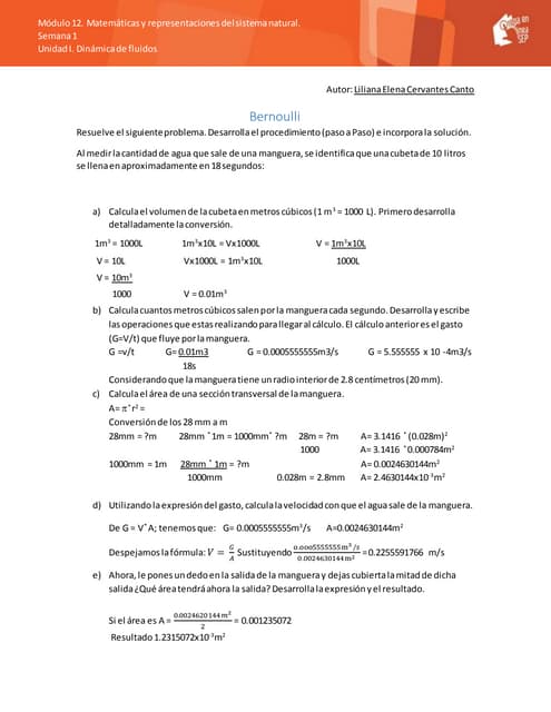 Cervantes canto lilianaelena_m7s2_howwasit | DOCX