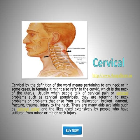 Cervical | PPTX