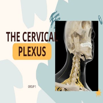 Cervical-Plexus-Group1 Presentation.pptx