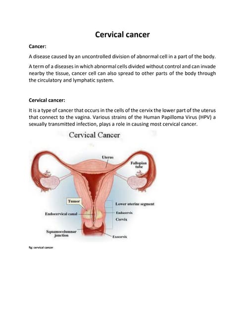Health information system | PPTX | Operating Systems | Computer Software and Applications