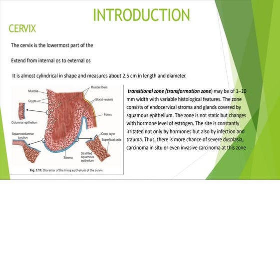 Bethesda system for reporting . Dr. Abhinav Golla , Associate Professor , Lab Director ...