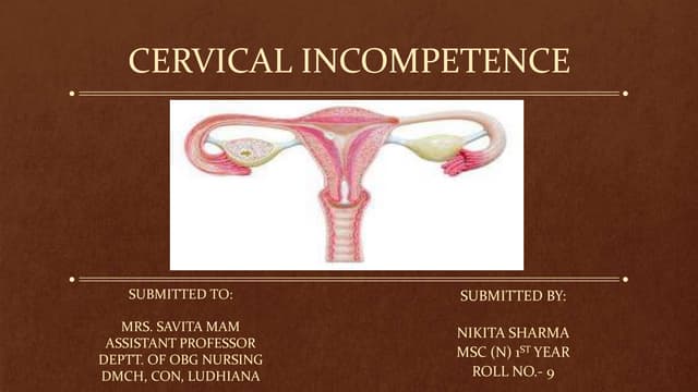 WHO labour guide.pdf