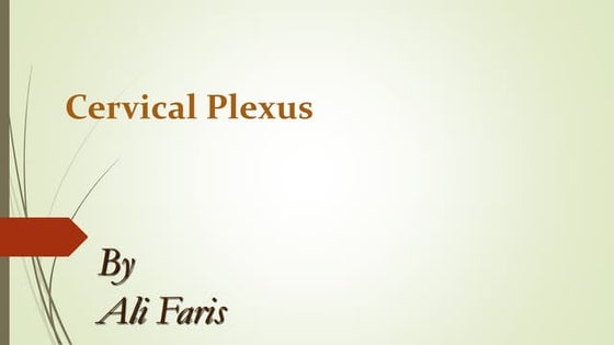 Cervical Plexus | PPT