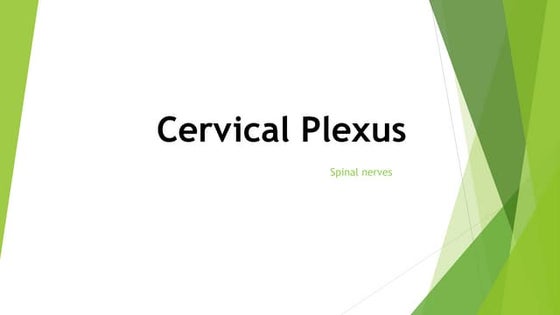 cervical_pl exus.pptx