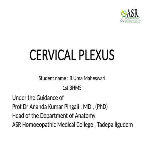 CERVICAL PLEXUS ANATOMY (NERVE)-WPS Office.pptx