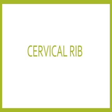 Cervical rib | PPTX
