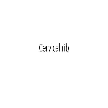 Cervical rib | PPT