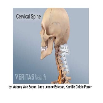 Cervical spine | PPTX
