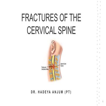 Cervical spine | PPT