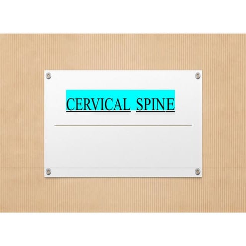 Swimmer’s view.pptx