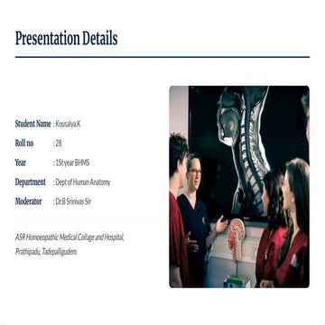 Head and neck - Cervical Sympathetic Chain | PDF