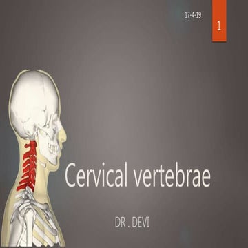 cervicalvertebra17-4-19-190528145645 (1).pdf