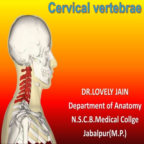 Cervical vertebrae | PDF