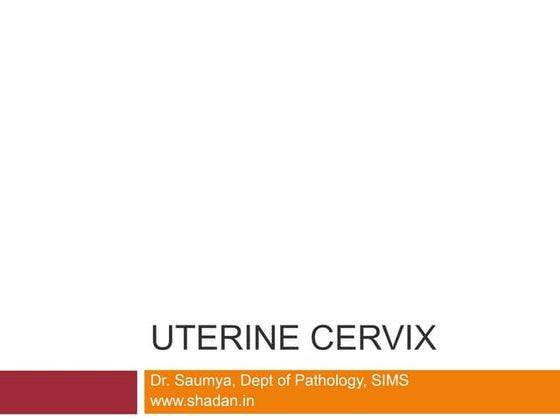 Anatomy and Physiology of cervix.pptx