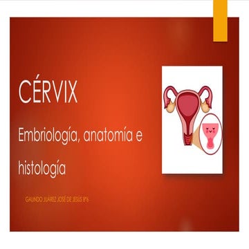 CERVIX - Embriología, anatomia e histología | PDF