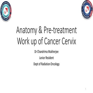 cervix work up.pptx | Pregnancy | Reproductive Health