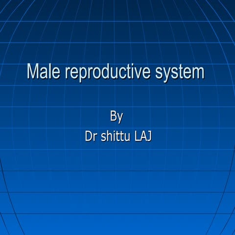 Male reproductive system | PPT