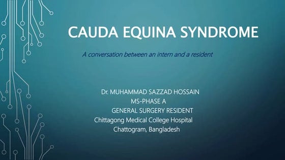 Cauda Equina Syndrome | PPT | Brain and Nervous System Disorders ...