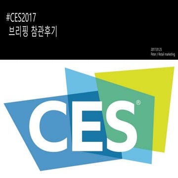 Ces2017브리핑 참석후기 | PPTX