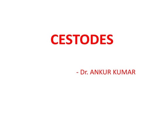 Classification of cestodes | PPT