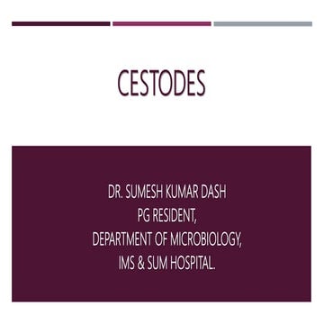 Neonatal mastitis 03