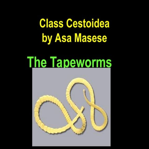 Cestodes by Dr. KennedyMunisi MD. MMed. Msc.ppt