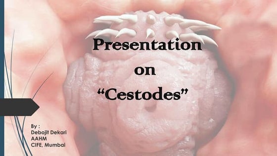 Cestodes | PPT