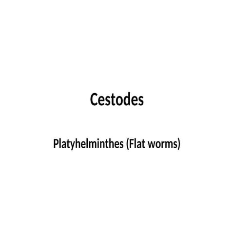 Cestodes projection slides for practical learning purpose | PPT