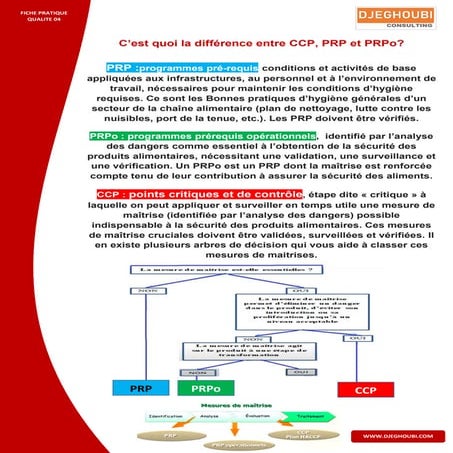 HSE plan and Bridging document | PDF