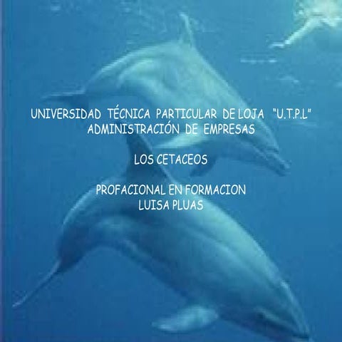 Cetaceos | PPT