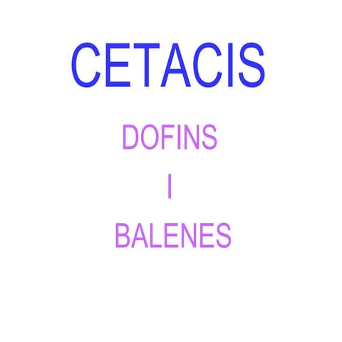 Cetacis | PPT