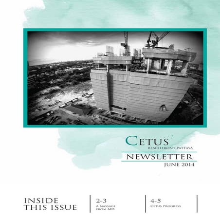 Cetus news Vol. June | PDF