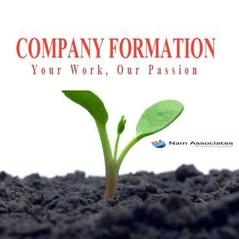 Company Formation in Dubai | PPTX