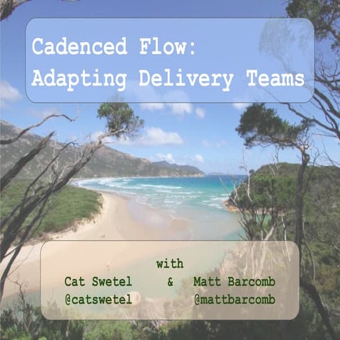 CF - Adapting Delivery Teams | PDF