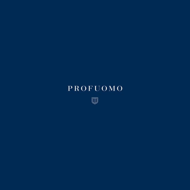 PROFUOMO | PDF