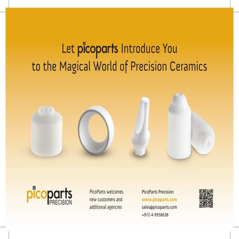 PicoParts Banner | PPT