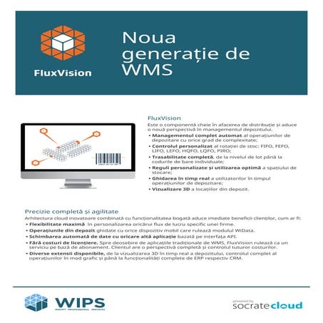 Flux Vision flyer ro | PDF