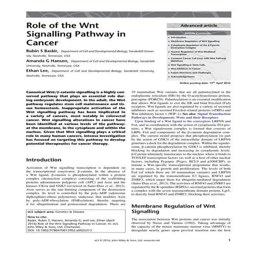 Role of Wnt Signaling in Cancer | PDF